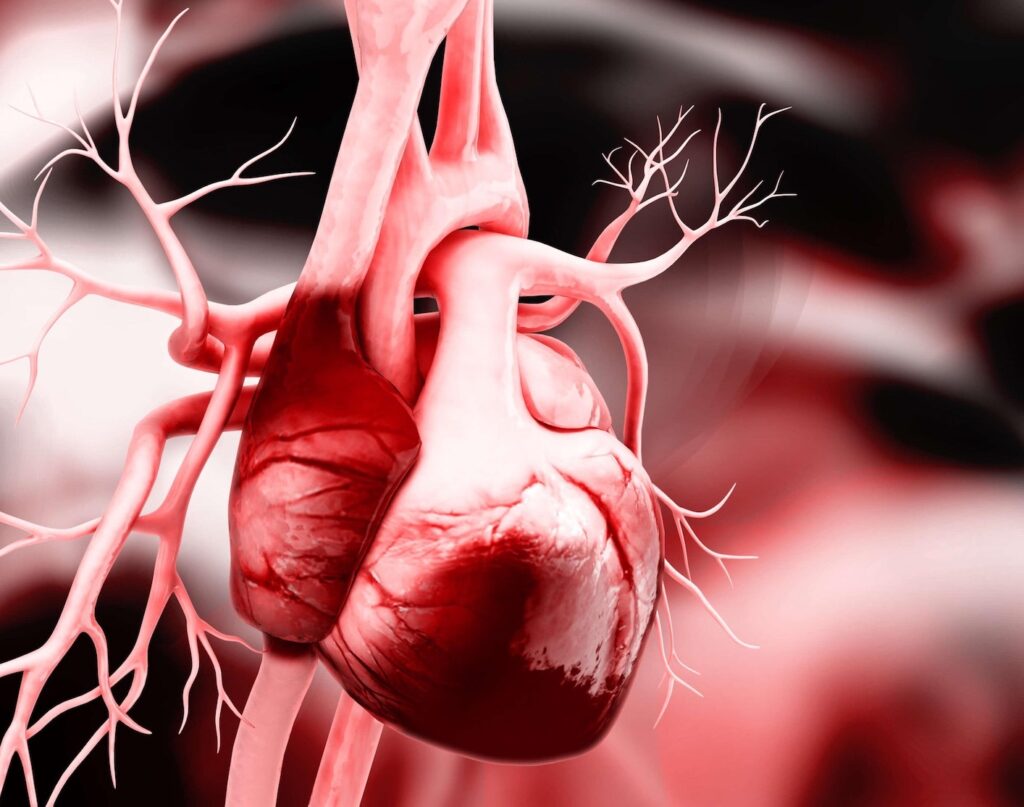 Malattie della valvola mitrale